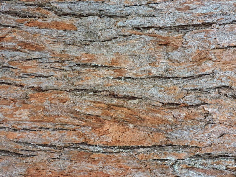 Details of a Solid Rustic Structure Exposed To the Climate. Background ...