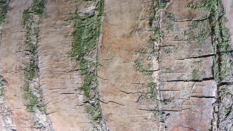 Details of a Solid Rustic Structure Exposed To the Climate. Background ...