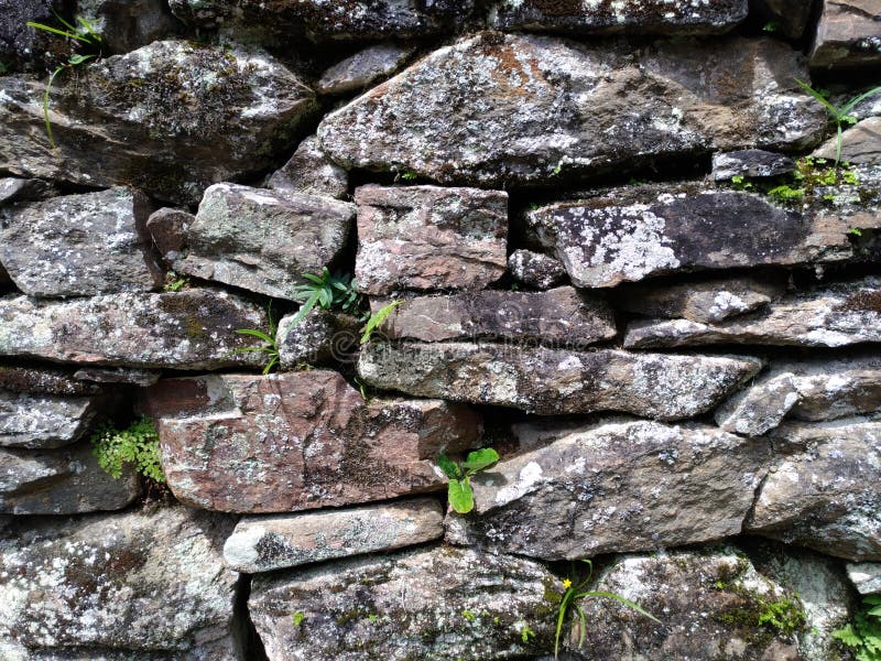 Details of a Solid Rustic Structure Exposed To the Climate. Background ...