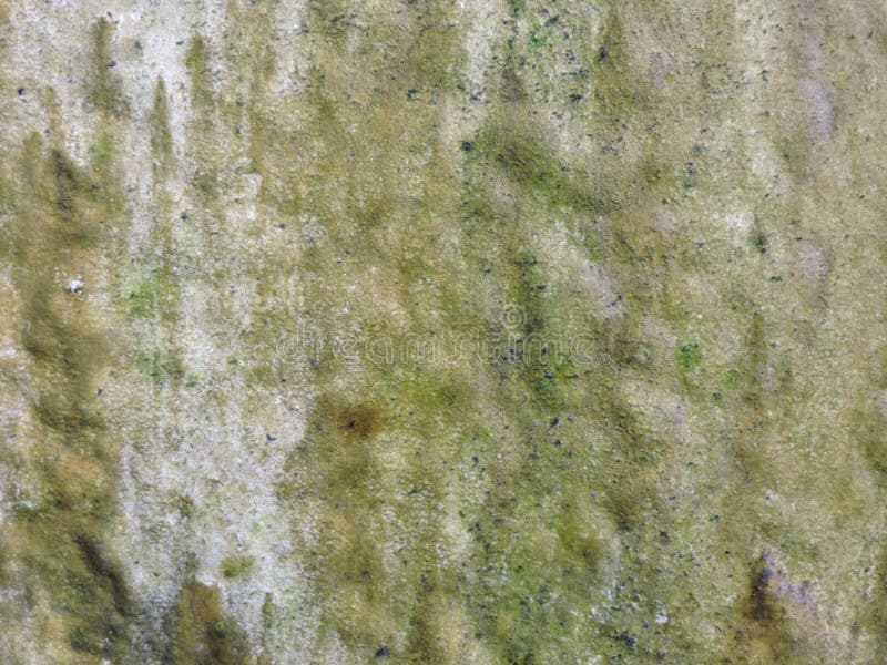 Details of a Solid Rustic Structure Exposed To the Climate. Background ...