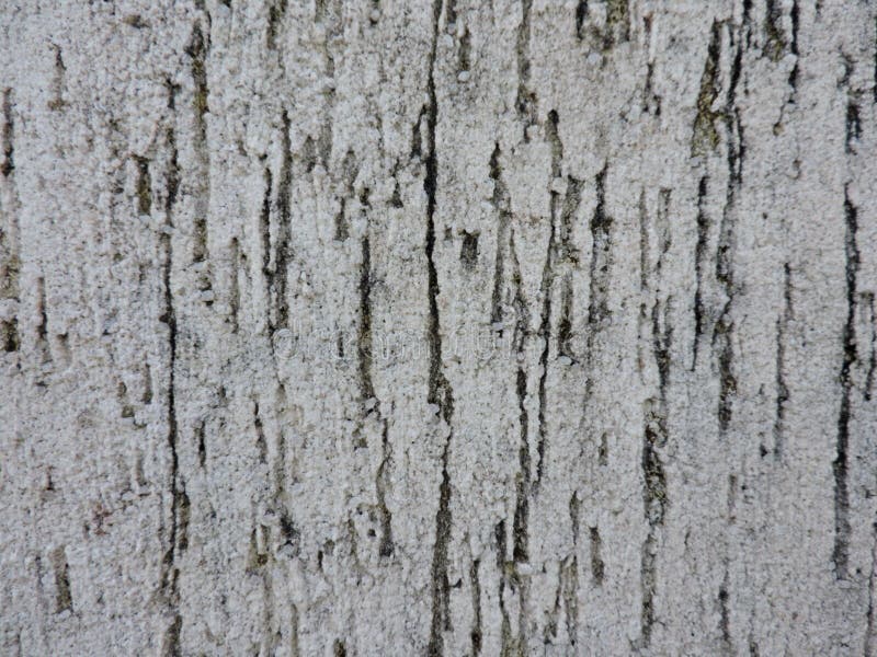 Details of a Solid Rustic Structure Exposed To the Climate. Background ...