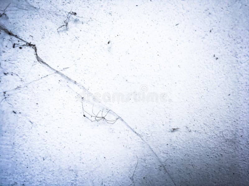 Details of the Surface, a Close-up Shot, with a Vignette on the Cover ...