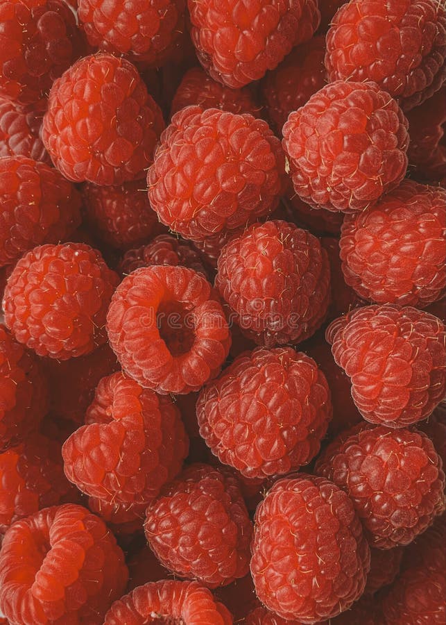 Details and Texture of Raspberries Stock Photo - Image of growing, food ...