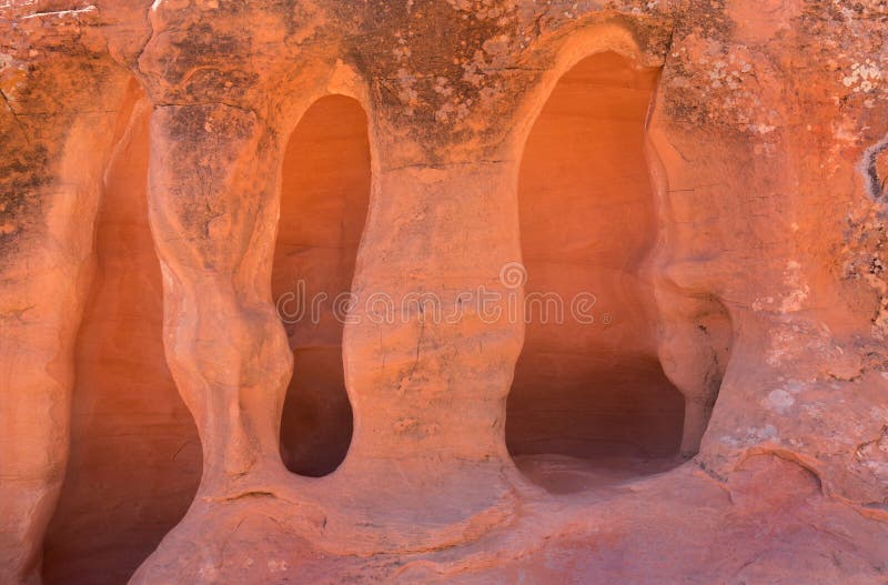 Details, Valley of Fire State Park in Nevada Stock Image - Image of ...