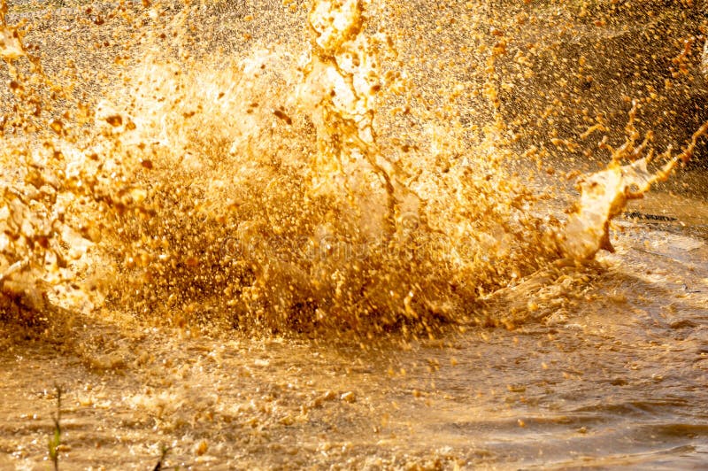Mud splash stock image. Image of muddy, splat, spray - 12587375
