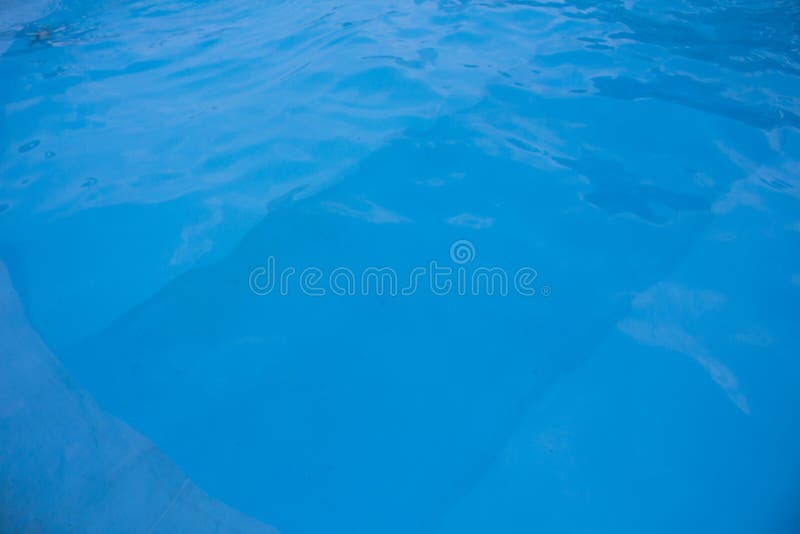 Details of Water in Swimming Pool Stock Photo - Image of marine, bright ...