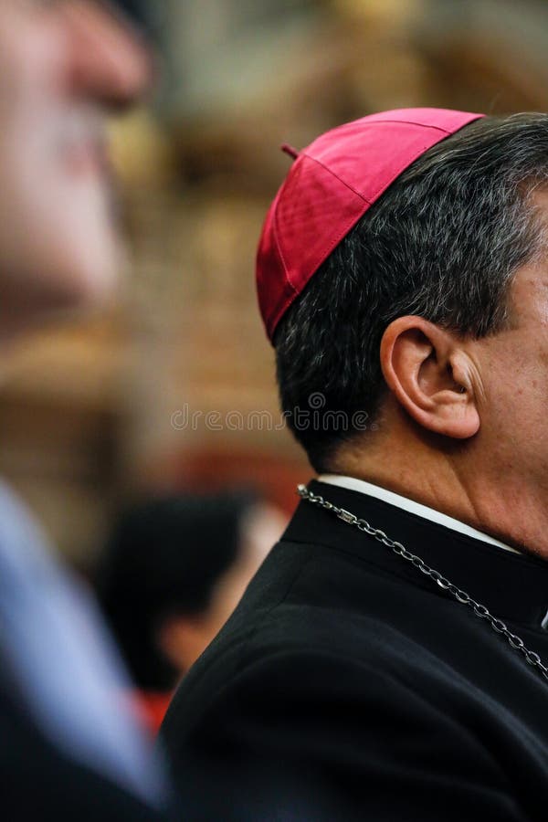 Details with a Zucchetto - a Small, Hemispherical, Form-fitting ...