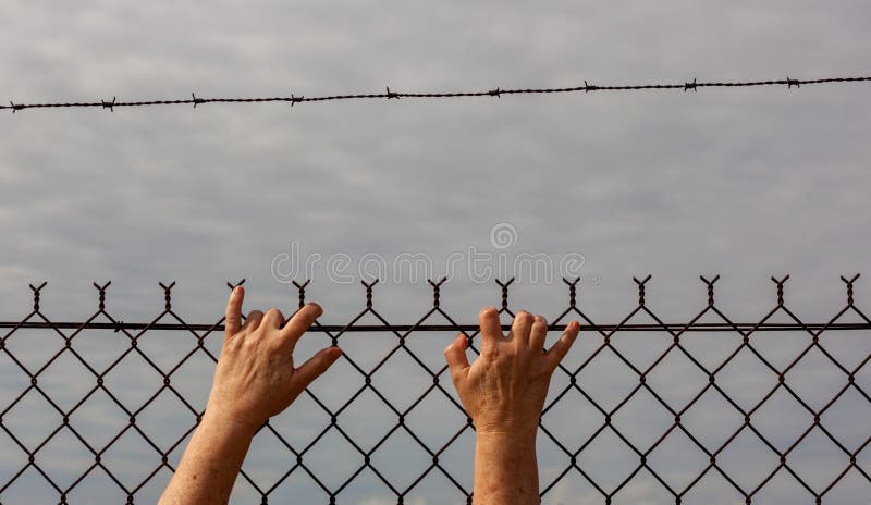 Detainee Behind Barbed Wire Stock Photo - Image of pattern, coronavirus ...