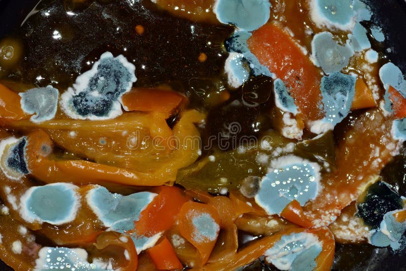 Detalhe De Comida Estragada Com Bolor Imagem de Stock - Imagem de macro ...