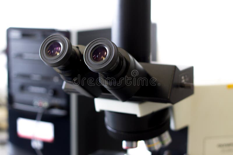 Detalhe do microsc?pio imagem de stock. Imagem de patologia - 148027949