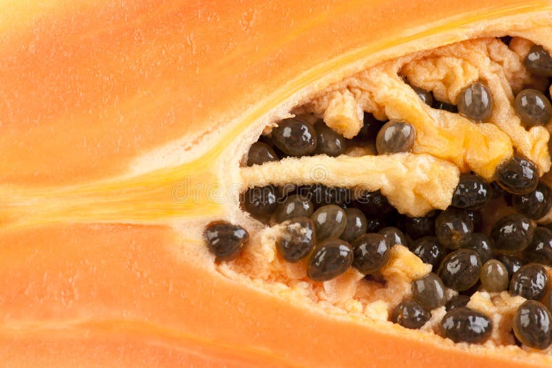 Detalle de la papaya imagen de archivo. Imagen de rebanada - 26711665