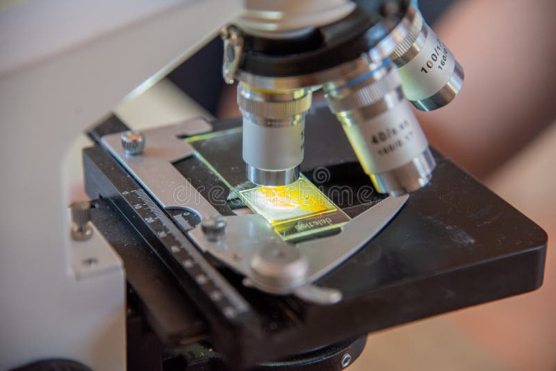 Detalle Del Microscopio En Laboratorio Horizontal Foto de archivo ...