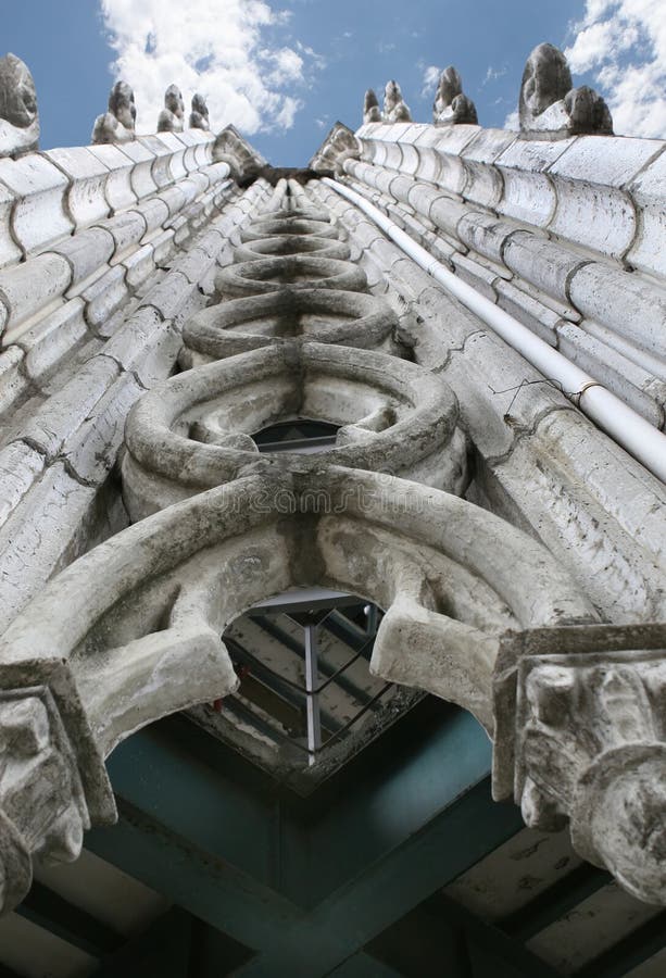 Detalle De La Columna Gótica En SE Velha Foto de archivo - Imagen de ...