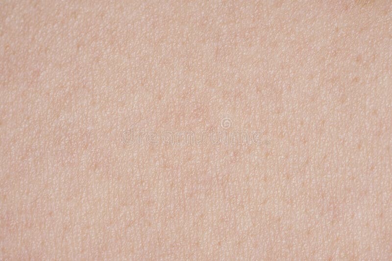 Sistema Humano De La Paleta De Colores Del Tono De Piel Aislado En ...