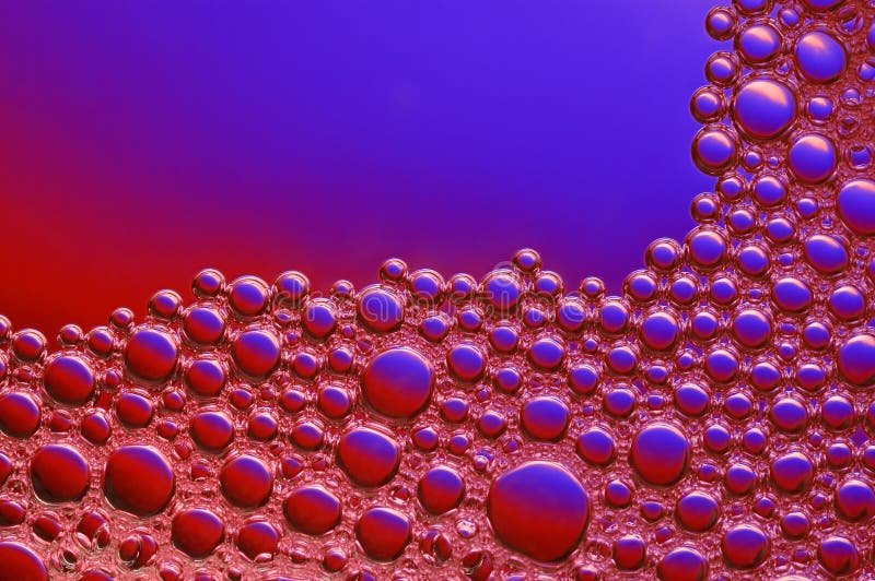 Detergent Bubbles Picture. Image: 7045687