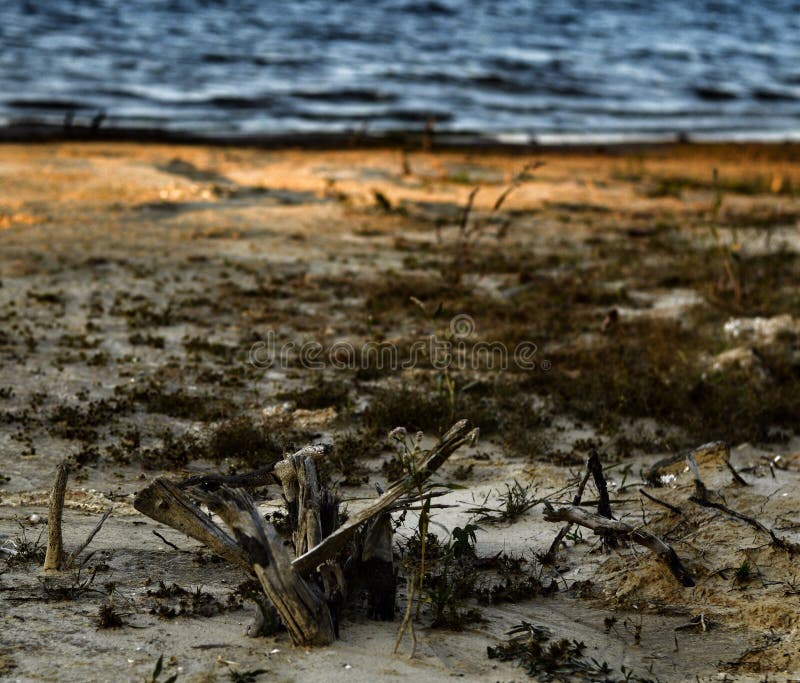 Deteriorado imagem de stock. Imagem de lago, marrom, arenoso - 46308943
