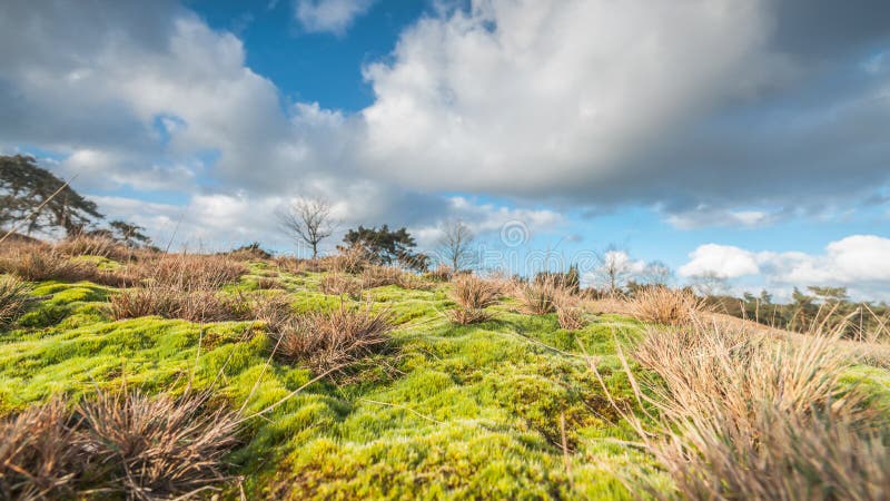Deteriorating Weather Over Nature in Spring Stock Photo - Image of grey ...