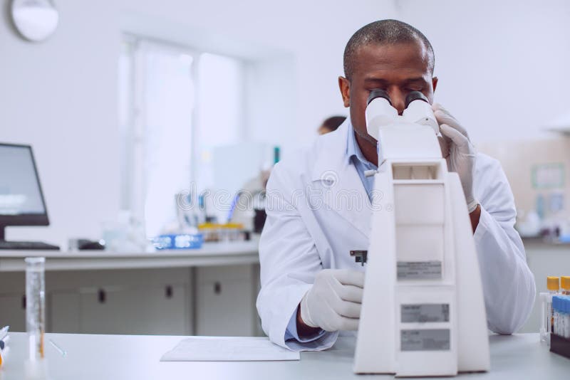 Determined Bioengineer Working in the Lab Stock Image - Image of chain ...