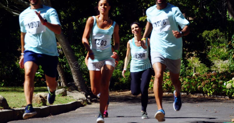 4k Stock Footage & Videos - 5,159,026 Stock Videos