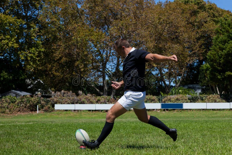 Determined Rugby Player Kicking Ball on Grassy Field Stock Photo ...
