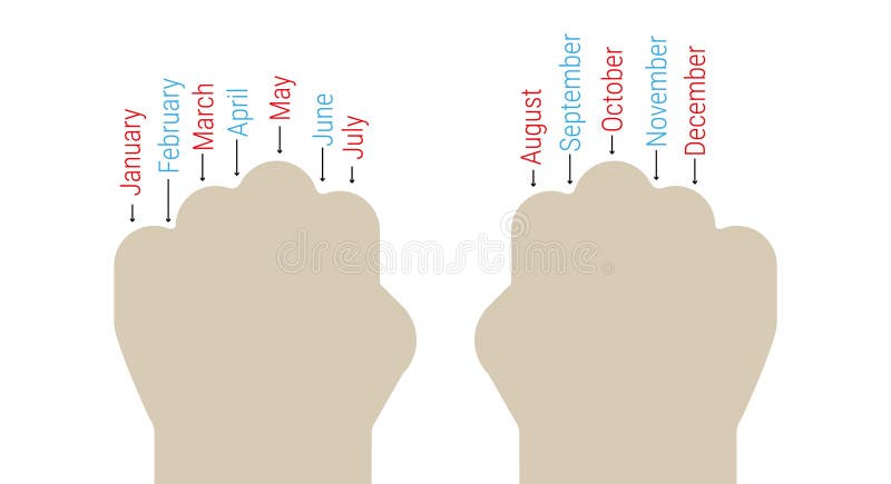 Determining the Length of Months by Knuckles. Vector Illustration Stock ... Determining the Length of Months by Knuckles. Vector Illustration Stock ...