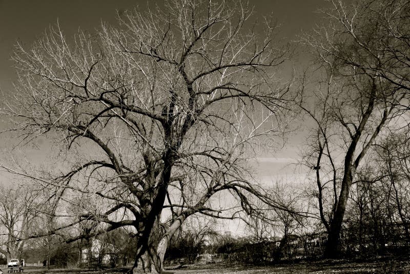 Detroit park view stock photo. Image of grouped, michigan - 112647582