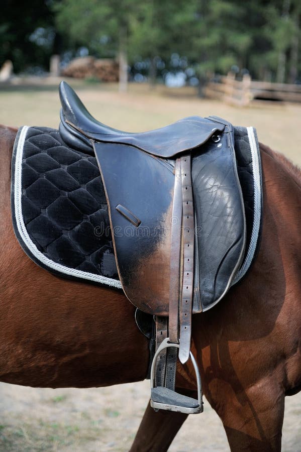 Dettaglio Di Una Sella Da Cavallo Fotografia Stock - Immagine di ...