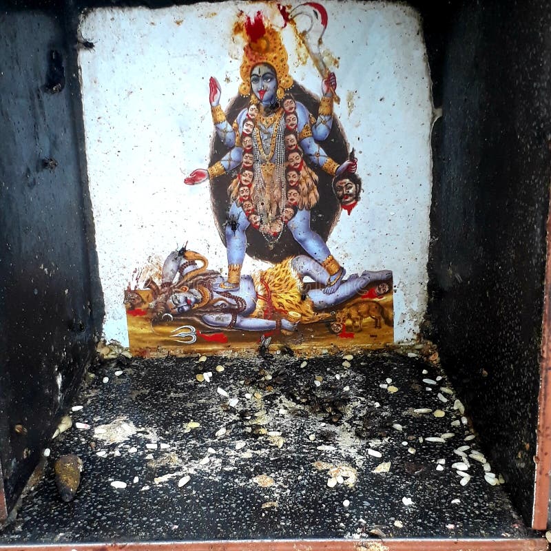 Deusa Kali foto de stock. Imagem de deusa, religioso - 152550254