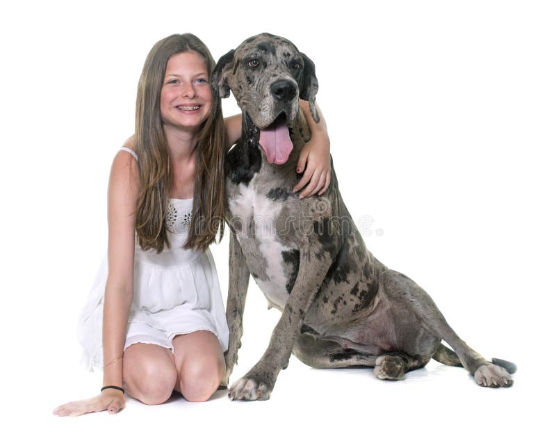 Deutsche Dogge und Kind stockbild. Bild von frau, erwachsener - 74751739