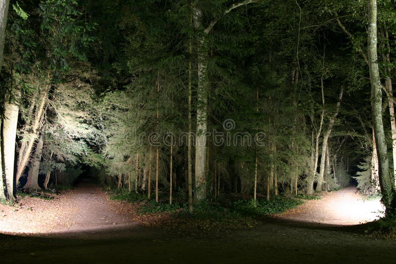 Deux chemins forestiers image stock. Image du chemins - 2394995