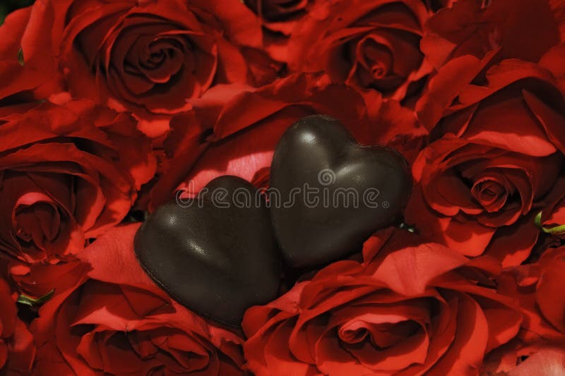 Deux Coeurs De Chocolat Et Roses Rouges Rouges Sur Le Fond Blanc Photo ...
