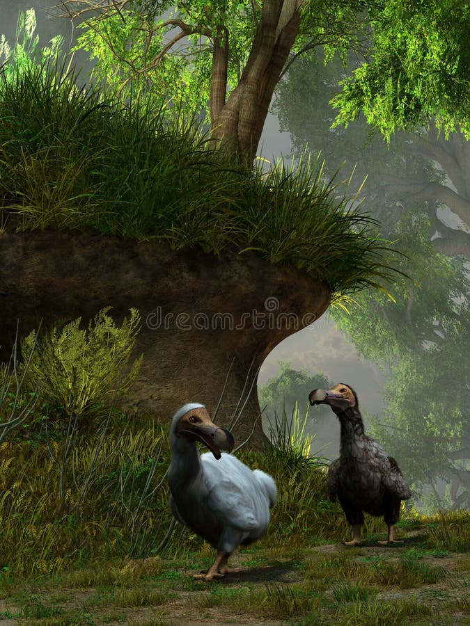 Dodo Stock Illustrations, Vecteurs, & Clipart – (820 Stock Illustrations)