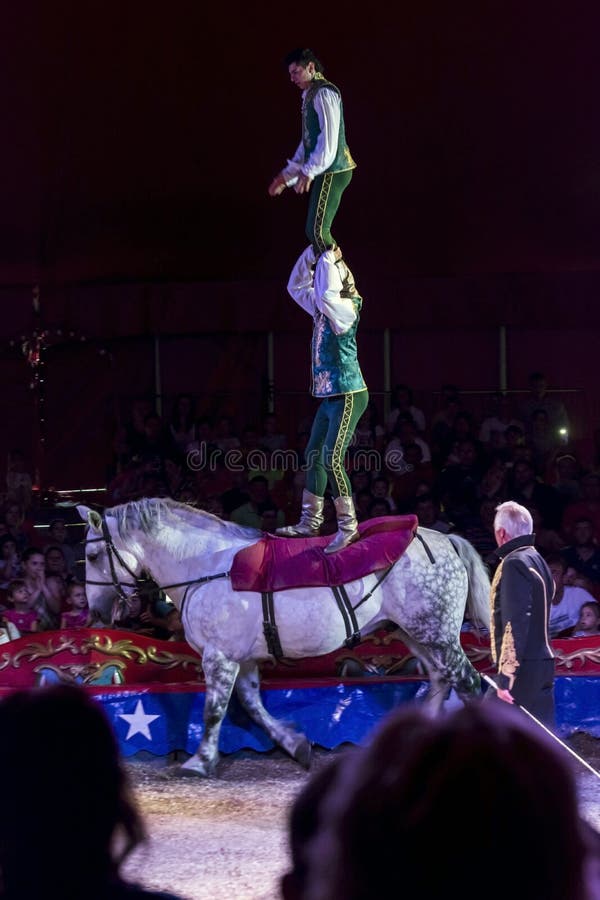 Homme sur le cheval image stock éditorial. Image du hongrois - 86482734