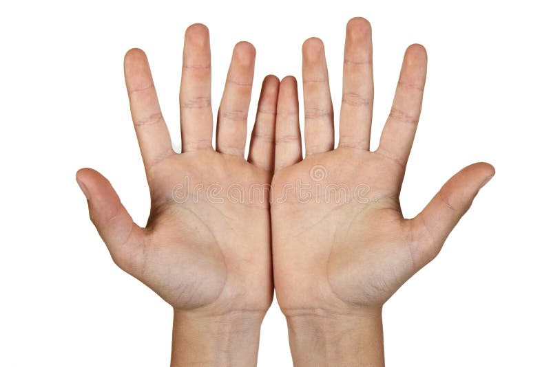 Deux mains ouvertes. photo stock. Image du symbole, image - 21810734