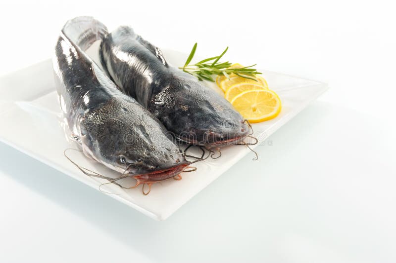 Poisson-chat grillé image stock. Image du cuisinier, thaïlande - 53794187