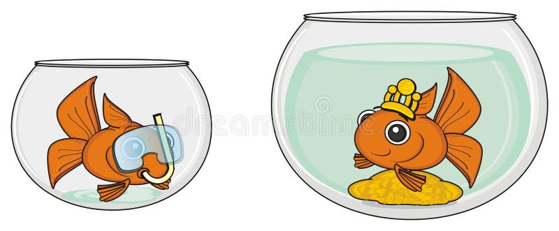 Deux Poissons De Diffirents Illustration Stock - Illustration du ...