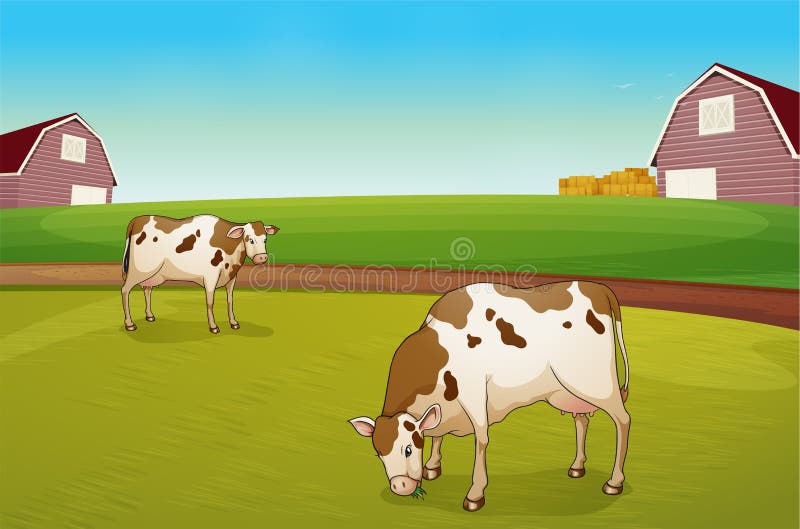Image De Vecteur De Deux Vaches Illustration de Vecteur - Illustration ...