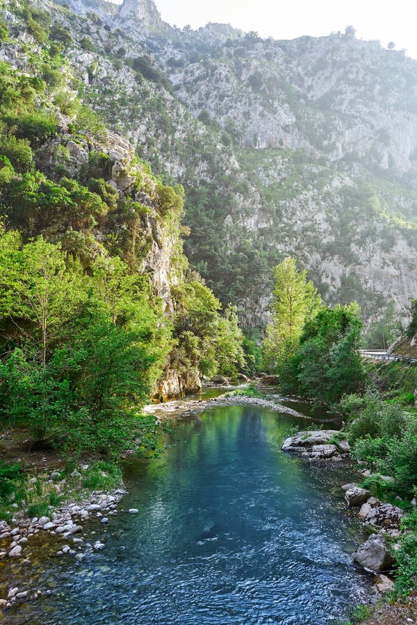 Deva River in Cantabria of Spain Stock Image - Image of green, forest ...