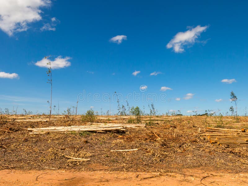 676 Land Devastation Photos - Free & Royalty-Free Stock Photos from ...