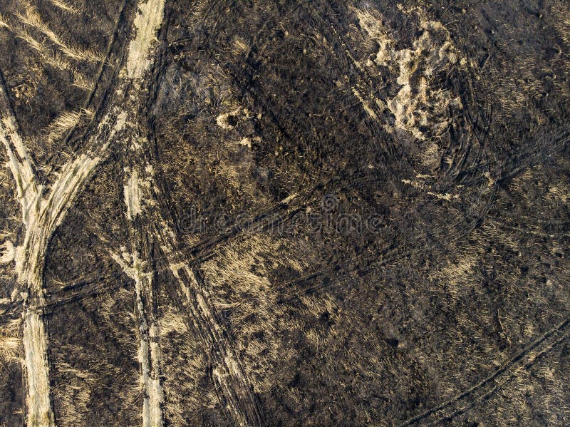 Devastated Land, After A Fire, Top View. Disaster And Emergency Events ...