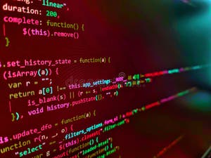 Developer Working On Program Codes In Office WWW Software Development 