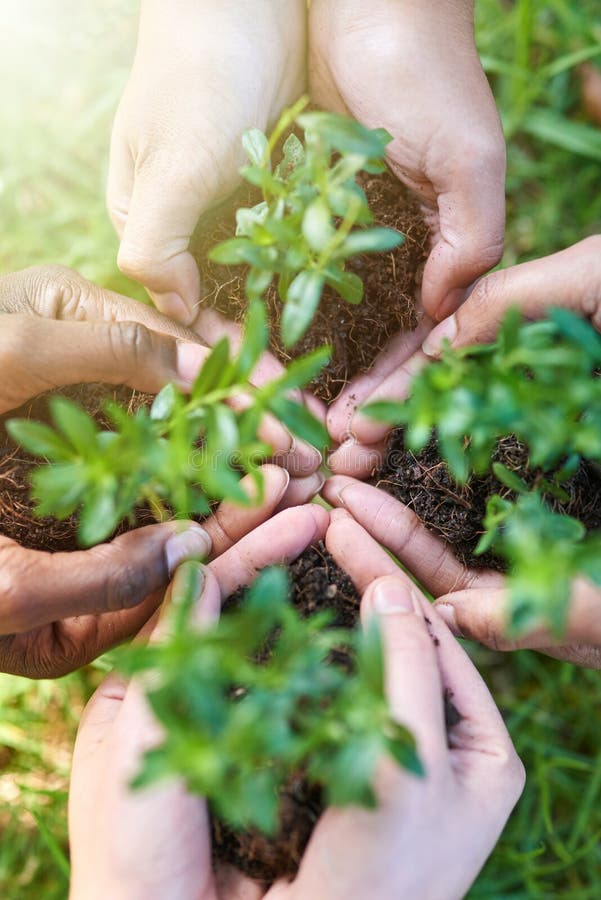 Developing the Future of the World Together. Four People Each Holding a ...