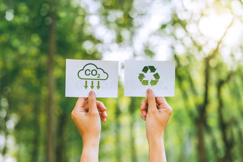 Developing Sustainable CO2 Concepts and Low Reduce CO2 Emissions and ...