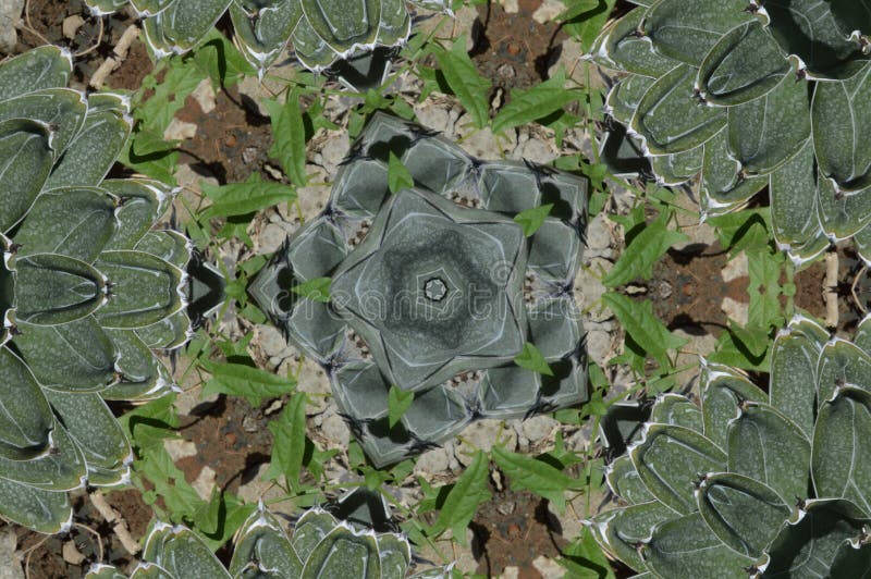 Digitally processed photo stock illustration. Illustration of texture ...