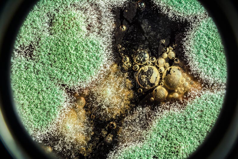 Development of Green Mold on an Organic Basis, Abstract Background ...