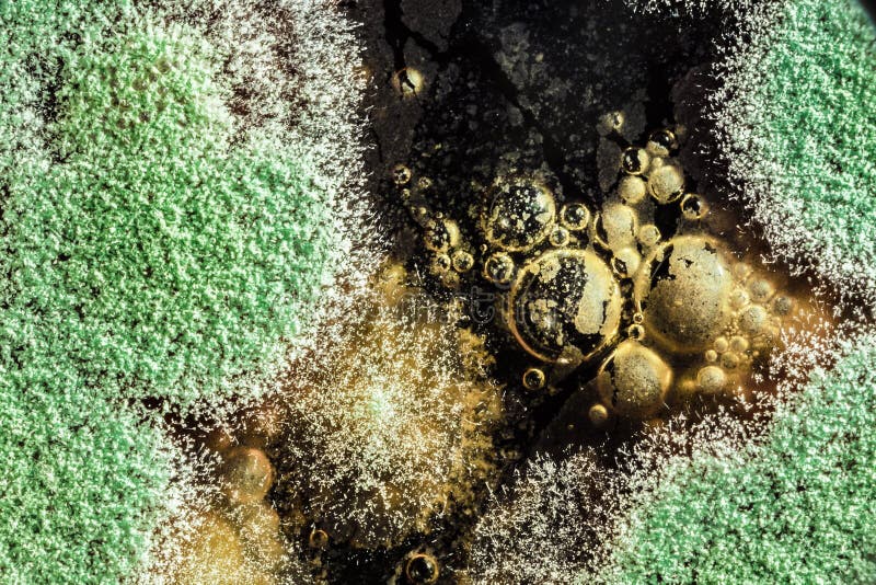 Development of Green Mold on an Organic Basis, Abstract Background ...