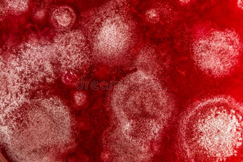 Development of Mold on an Organic Basis, Abstract Background Stock ...