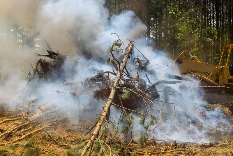Development of a New Plot of Land for the Construction of a New ...