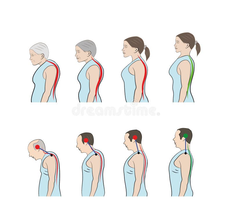 13+ Stooped Free Stock Photos - StockFreeImages