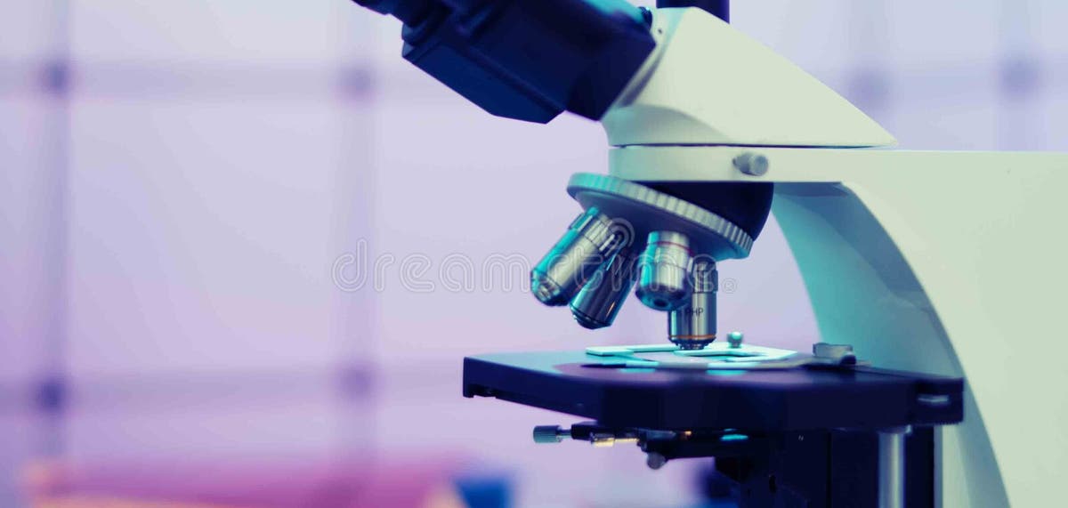 369 Developmental Biology Stock Photos - Free & Royalty-Free Stock ...